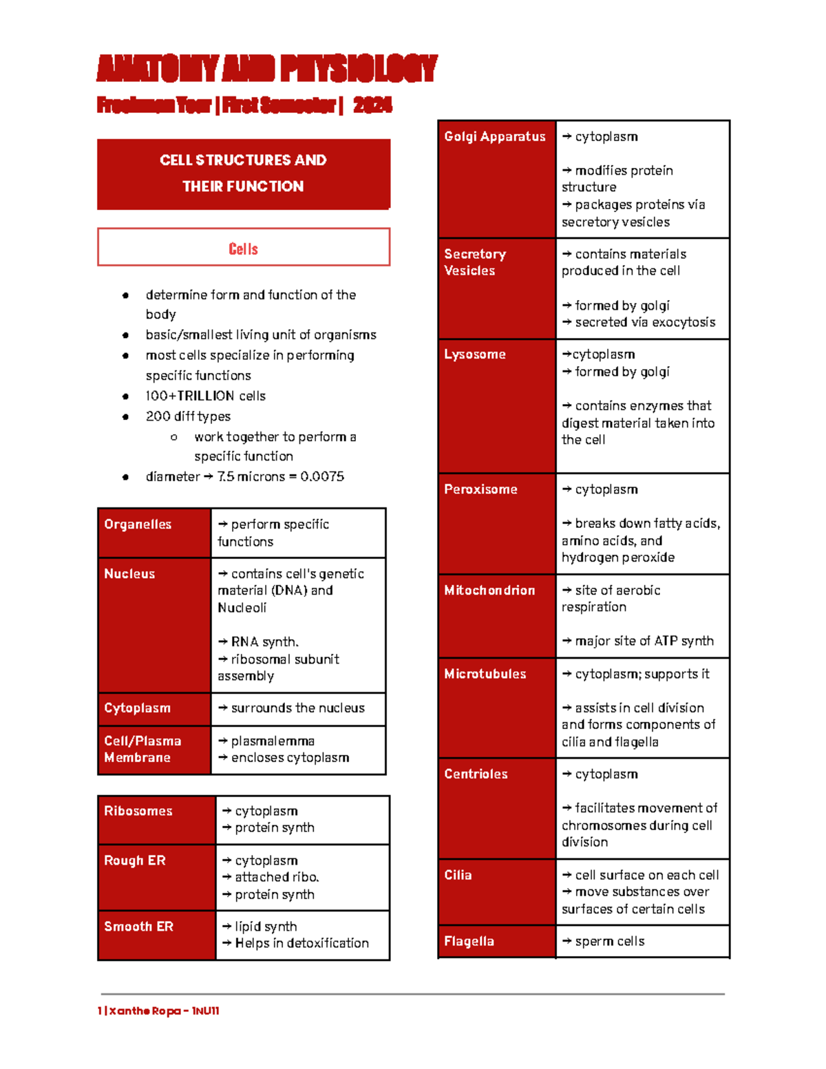 Anaphy - First Sem-1: Cell Structures, Functions & Tissues Overview ...
