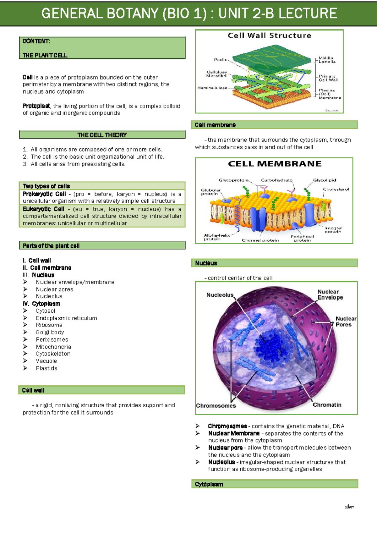GENERAL BOTANY (BIO 1): UNIT 2B - PLANT CELL STRUCTURE & FUNCTIONS ...