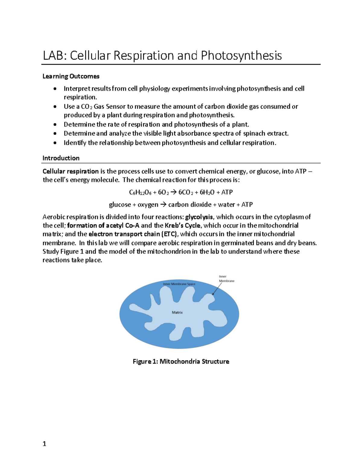 BIOL 1406 Lab #6 - Exploring Cellular Respiration and Photosynthesis ...