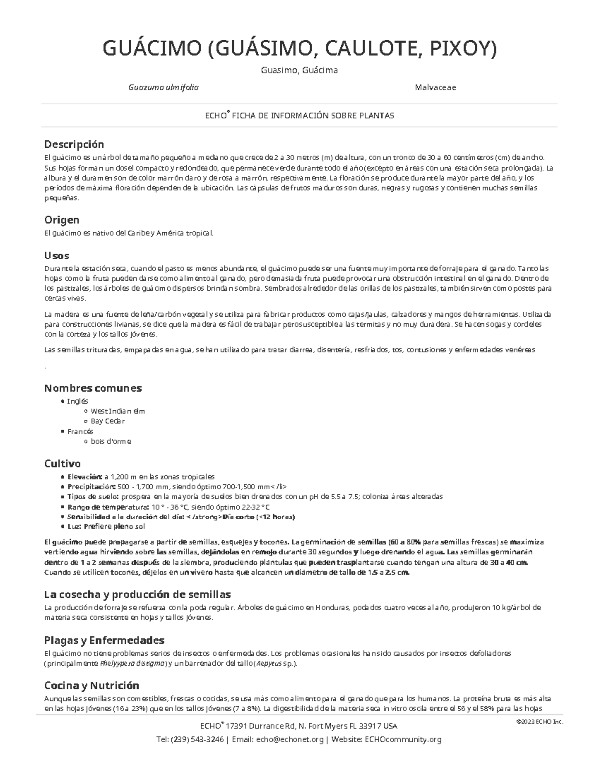 Guacimo-guasimo-caulote-pixoy 120722 - ECHO FICHA DE INFORMACIÓN SOBRE ...