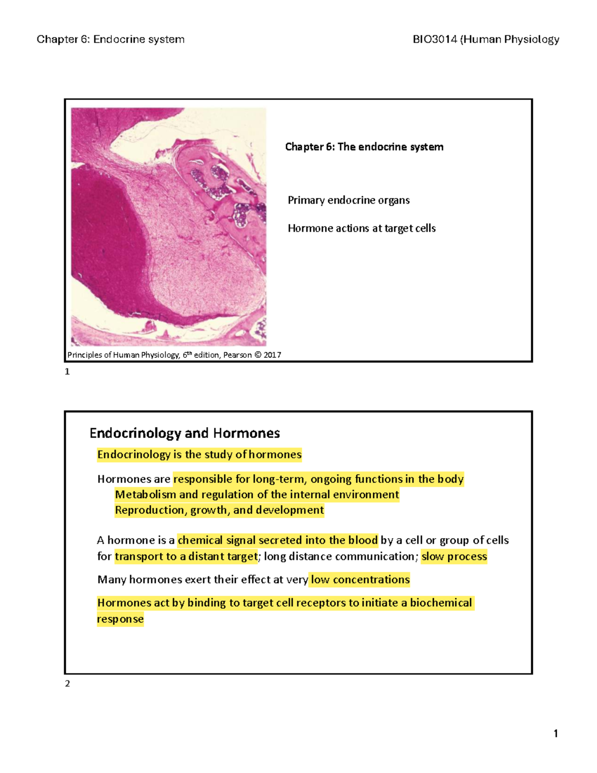 Chapter 6: Endocrine System Overview (BIO3014 - Human Physiology ...