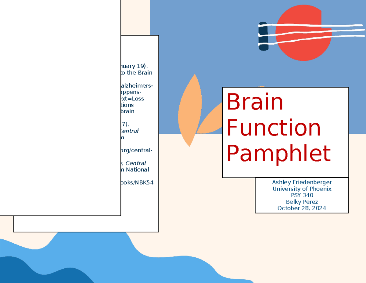 Psy 340 Week 2 Assignment: Brain Anatomy and Function Overview - Studocu