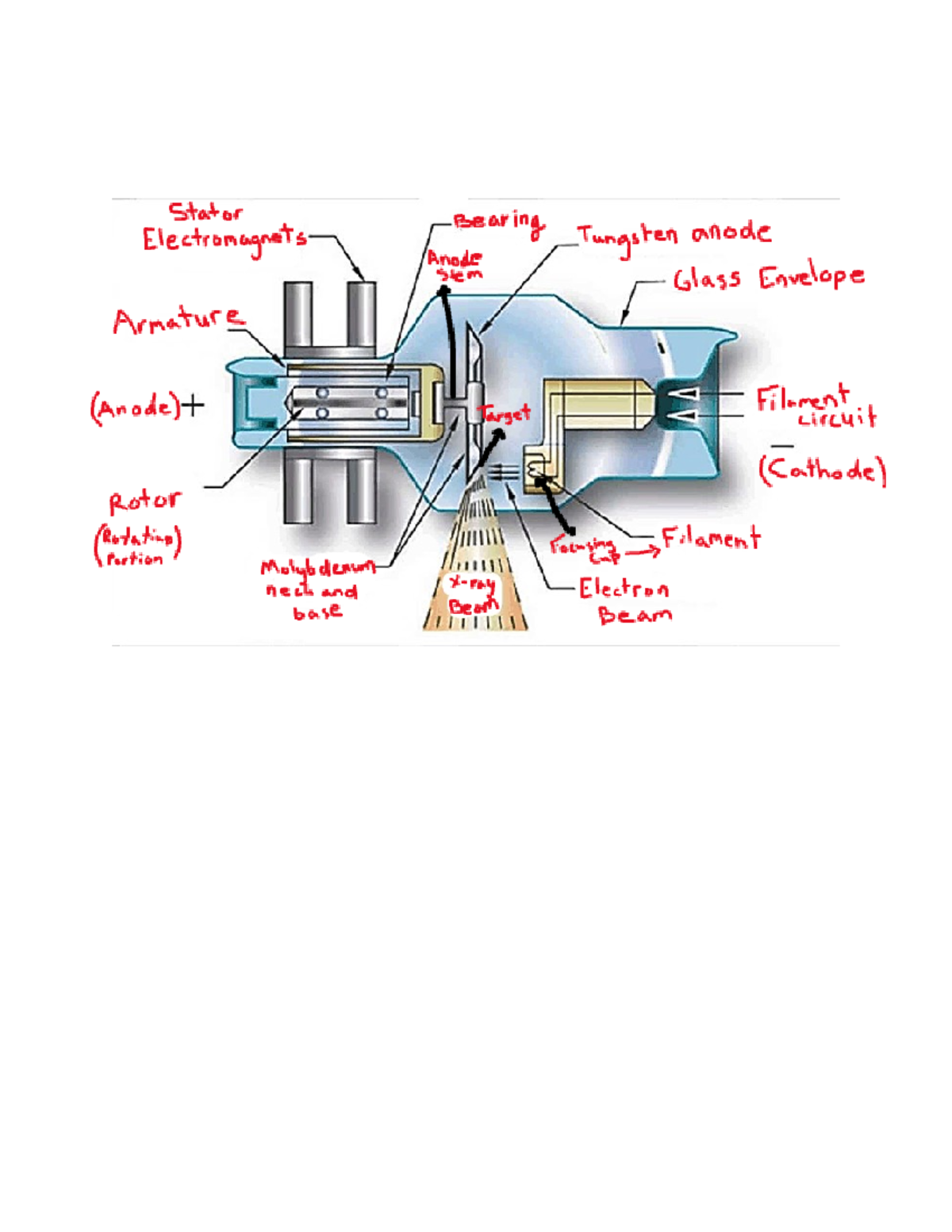 X-Ray Tube Diagram - The X-Ray tube labled - RAD 1124 - Stator ...