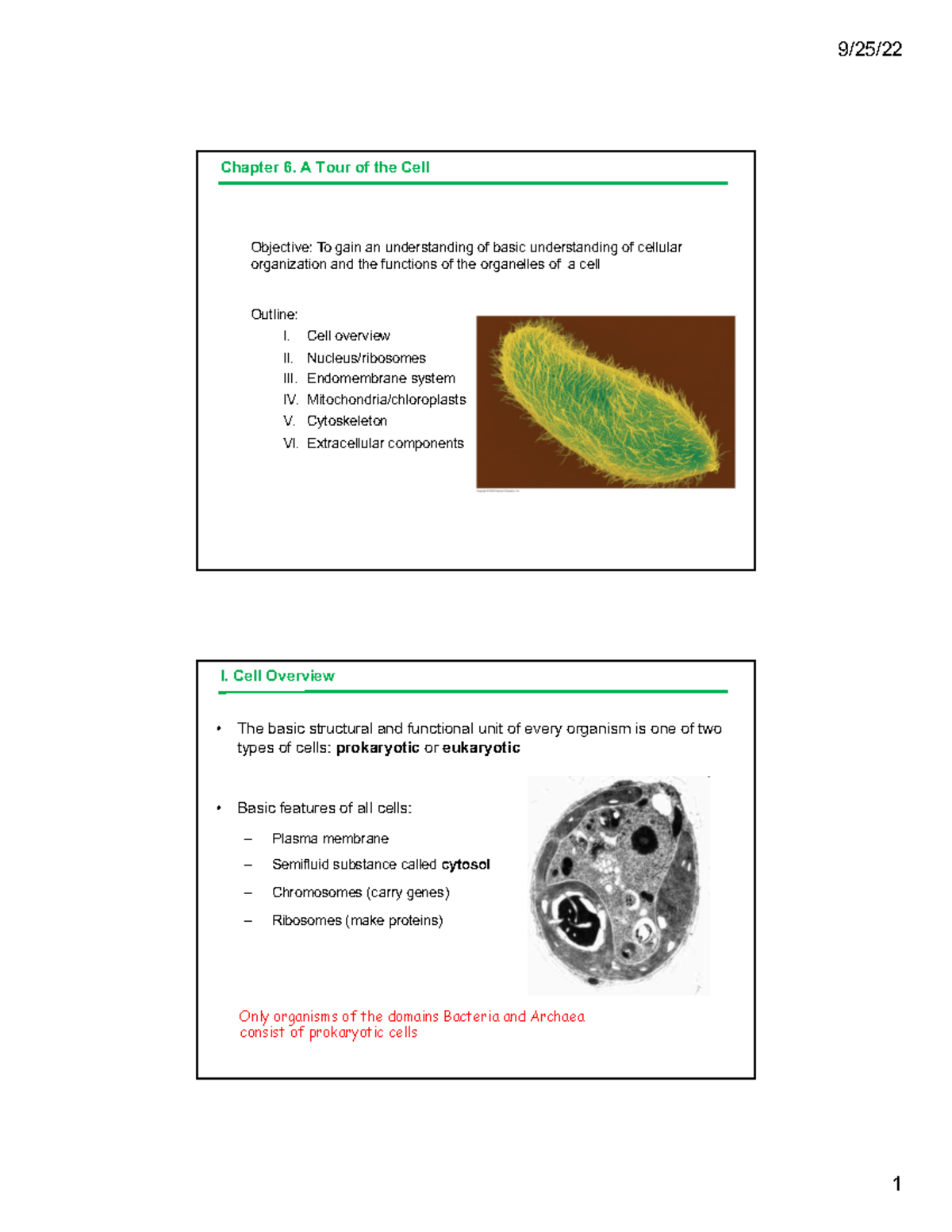 BIO 201_Lecture 5: A Comprehensive Overview of Cellular Structure ...