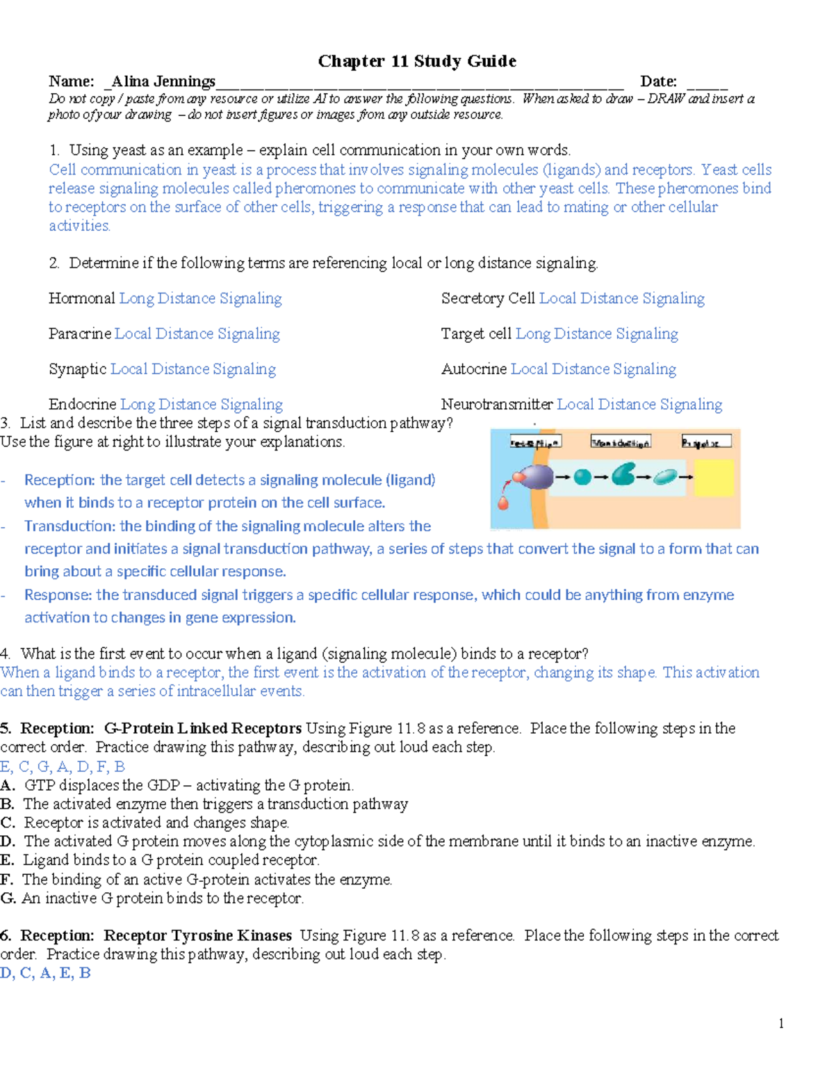Chapter 11 Cell Signaling Study Guide: Key Concepts and Processes - Studocu