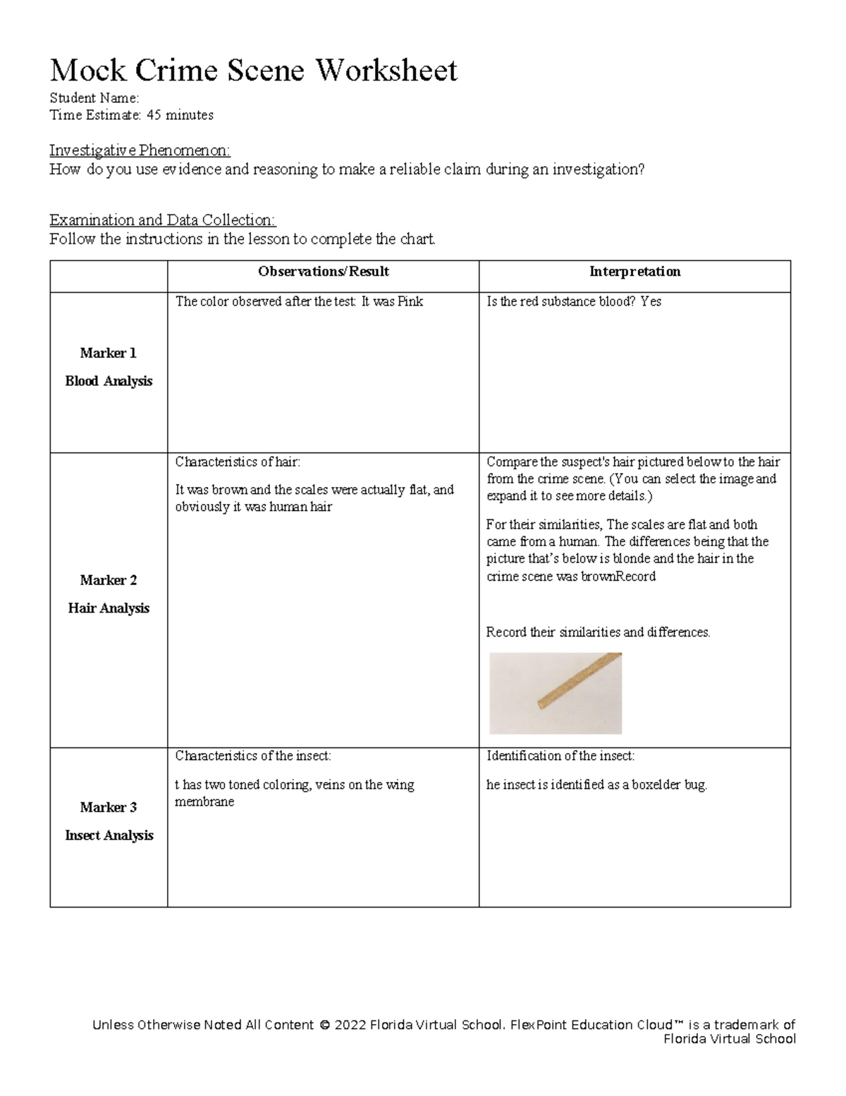 2.07 Mock Crime Scene Worksheet - Evidence Analysis and Findings - Studocu