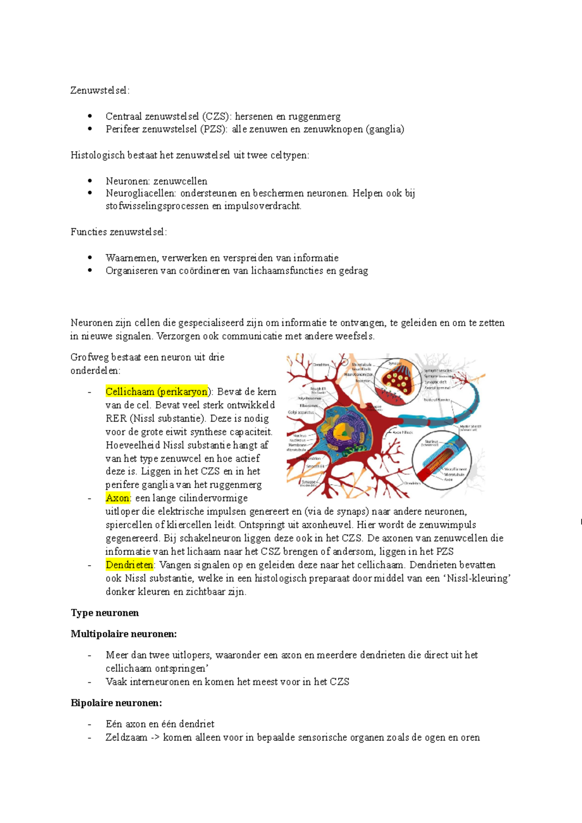 Samenvatting Histologie Zenuwstelsel Versatest - Studeersnel