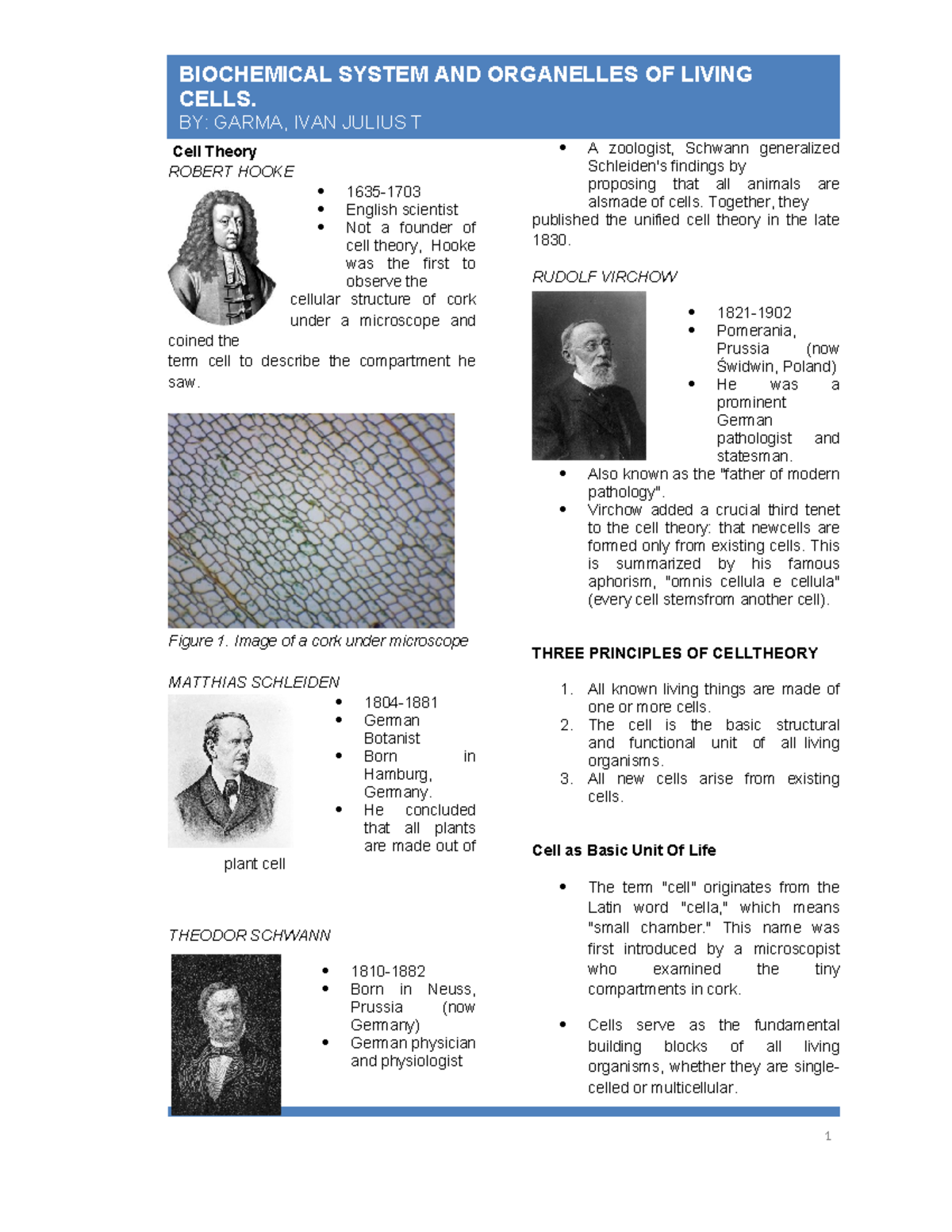 BIOCHEMICAL SYSTEMS & ORGANELLES OF LIVING CELLS: A SUMMARY - Studocu