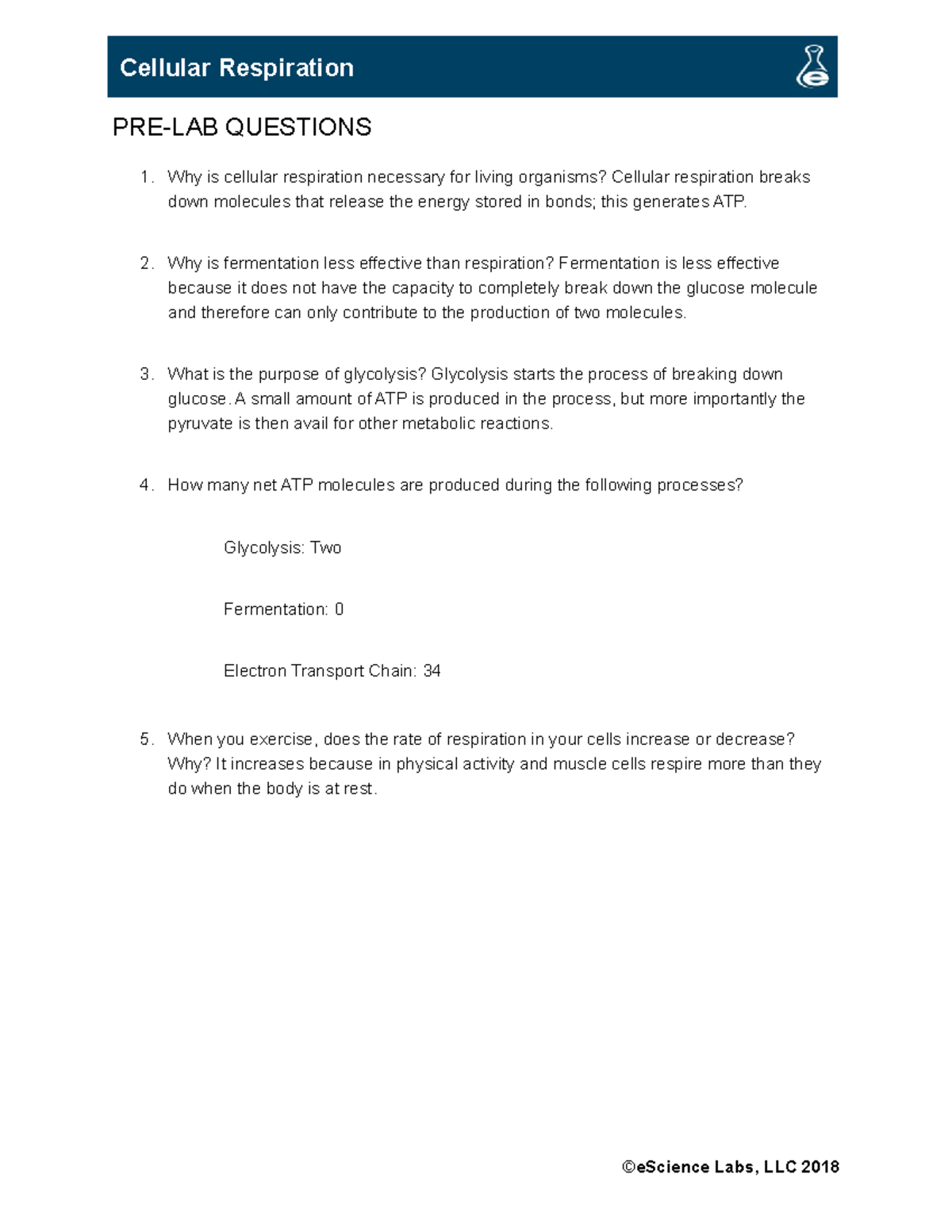 Cellular Respiration Lab - Cellular Respiration QUESTIONS 1. Why is ...