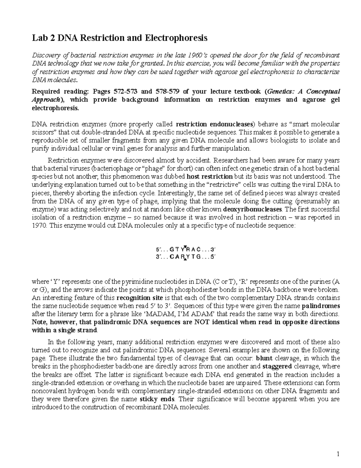 Lab 2: DNA Restriction Enzymes & Agarose Gel Electrophoresis - Studocu
