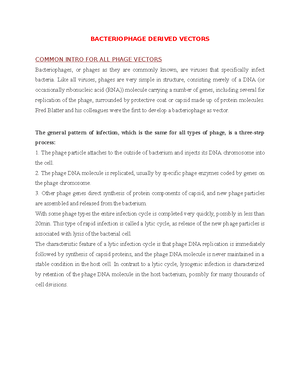 M13 phage vectors - Lecture notes 1 - M13 phage vectors bacteriophage ...