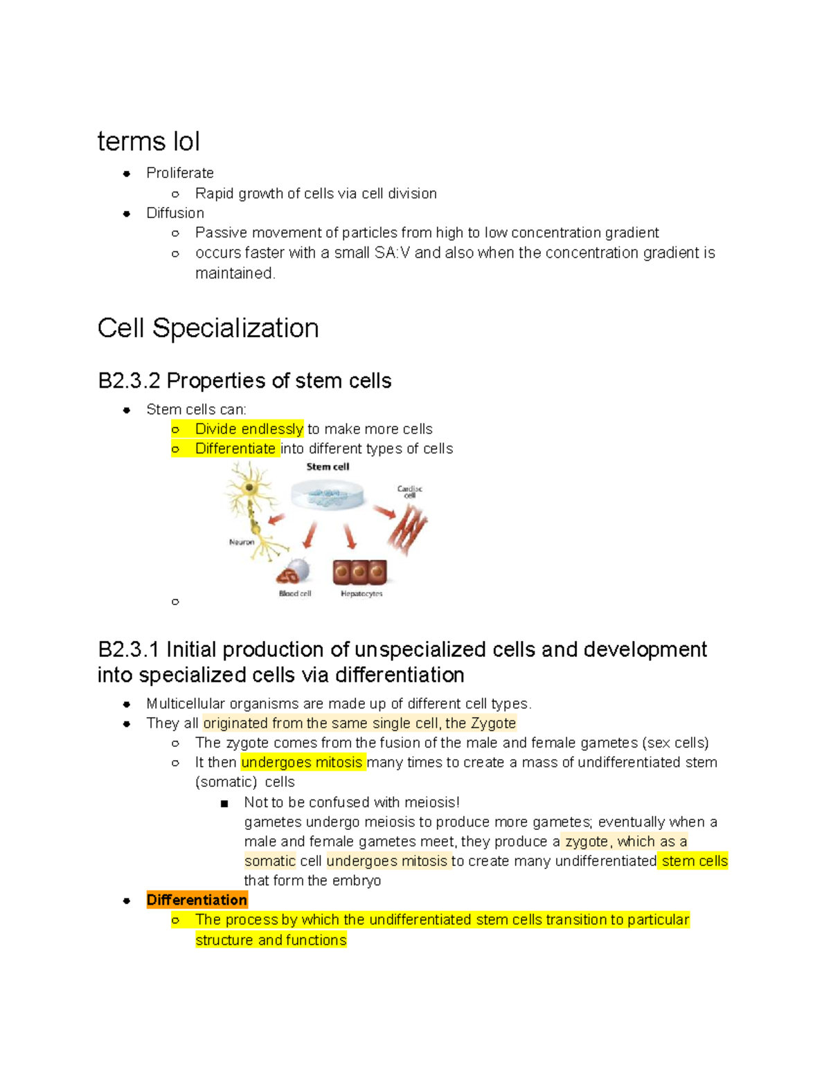 Bio B2: Specialization, Exchange, and Transport in Cells - Studocu