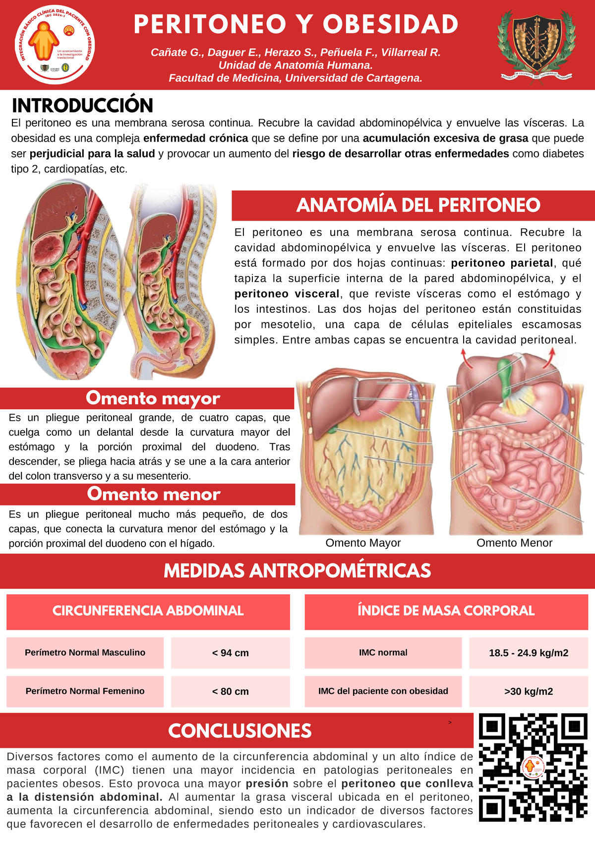 Póster Peritoneo Y Obesidad - CIRCUNFERENCIA ABDOMINAL Perímetro Normal ...
