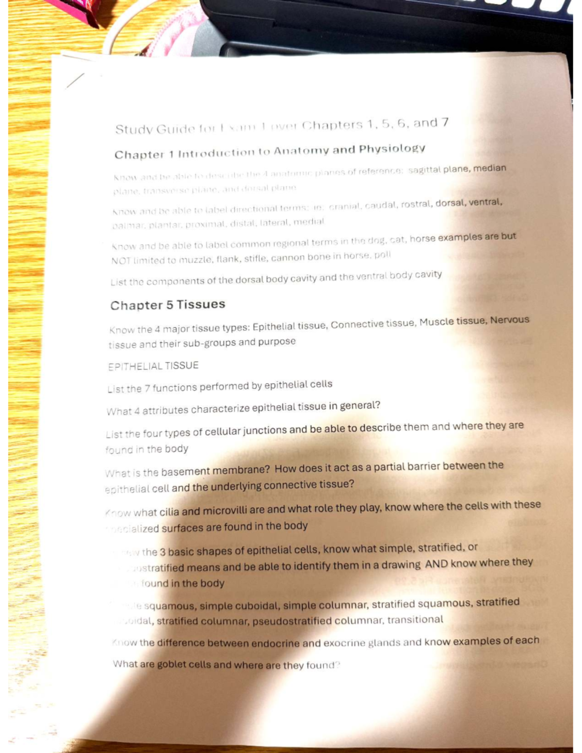 Study Guide for Exam 1: Anatomy & Physiology (Chapters 1, 5, 6, 7 ...