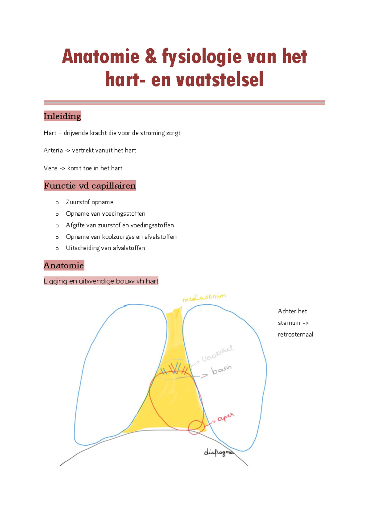 1 Anatomie & fysiologie vh hart en vaatstelsel - Anatomie & fysiologie ...