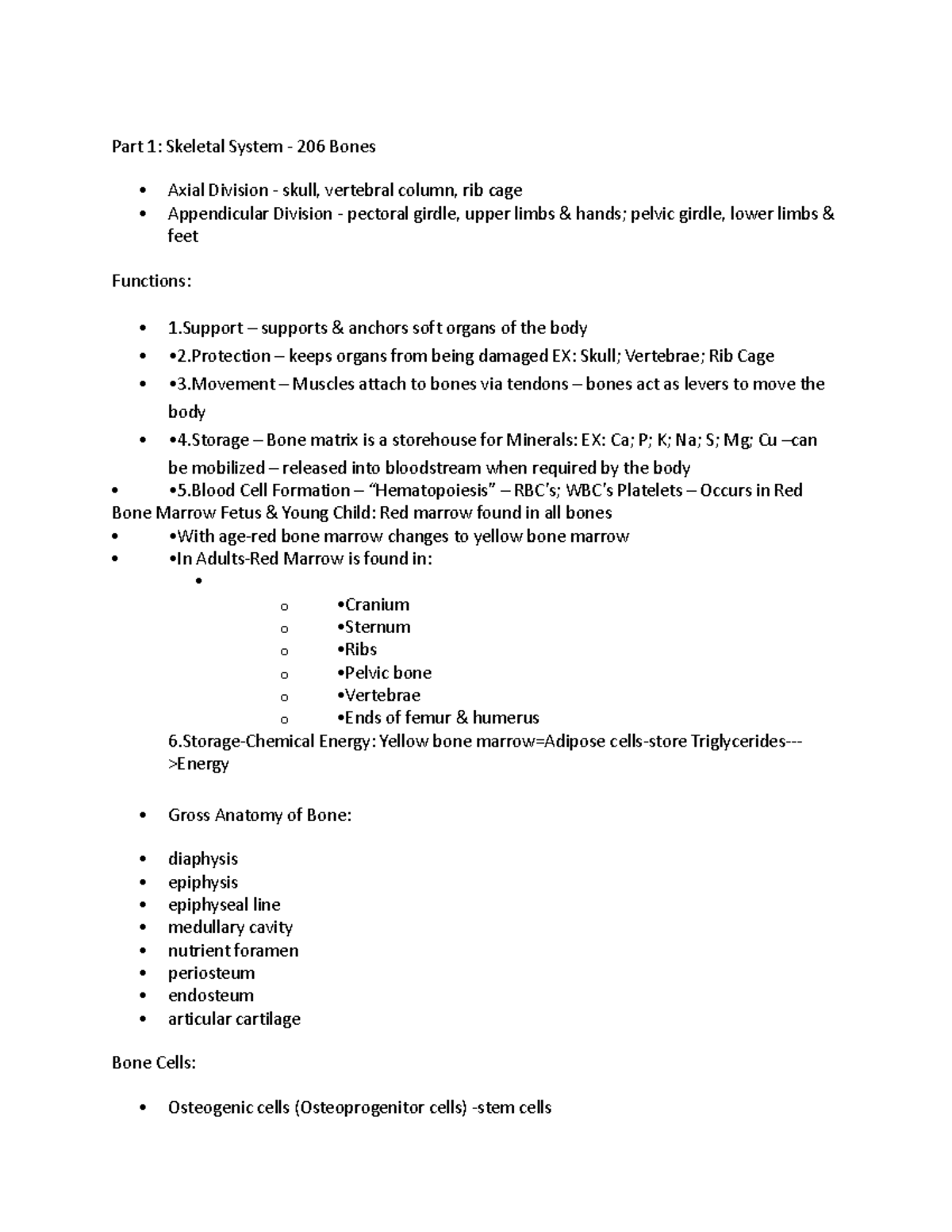 Anatomy Notes on Skeletal System - Chapter 6 (206 Bones) - Studocu
