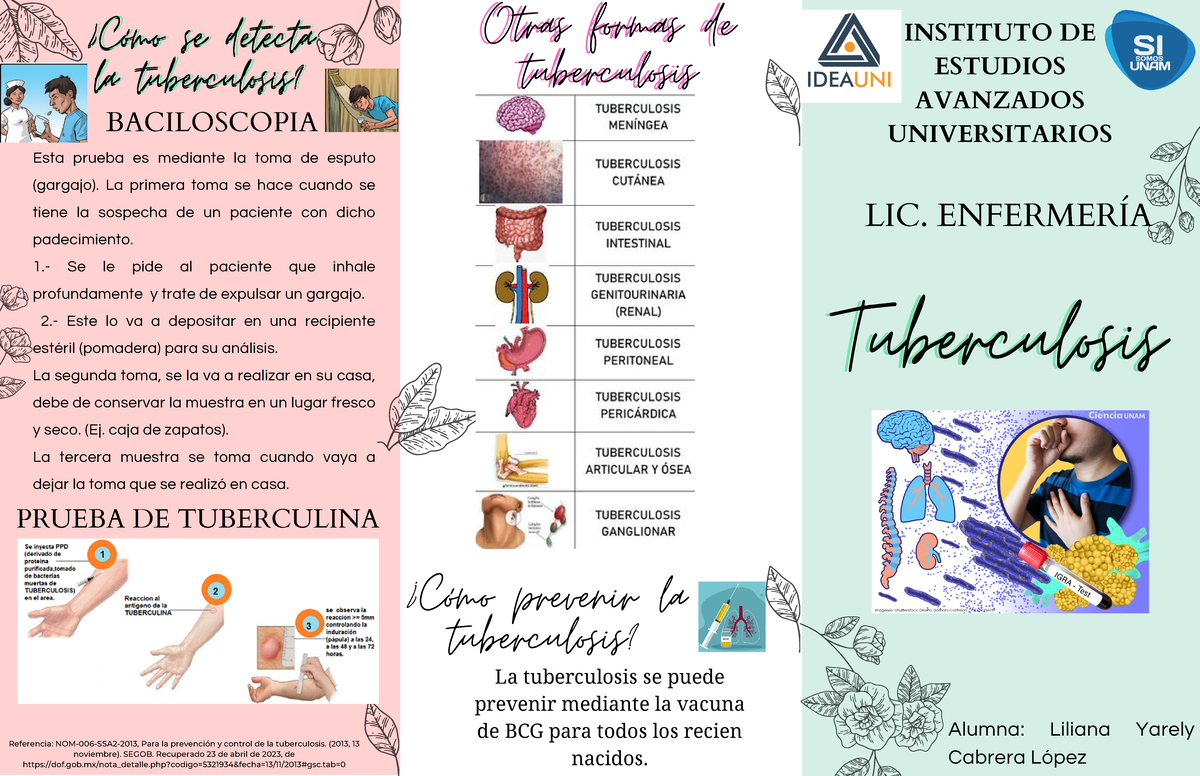 Tríptico tuberculosis - TuberculosisTuberculosis LIC. ENFERMERÍA Alumna ...