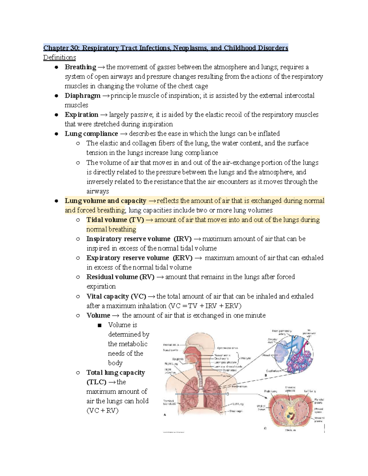 Patho 2: Respiratory Tract Infections & Childhood Disorders Study Guide ...