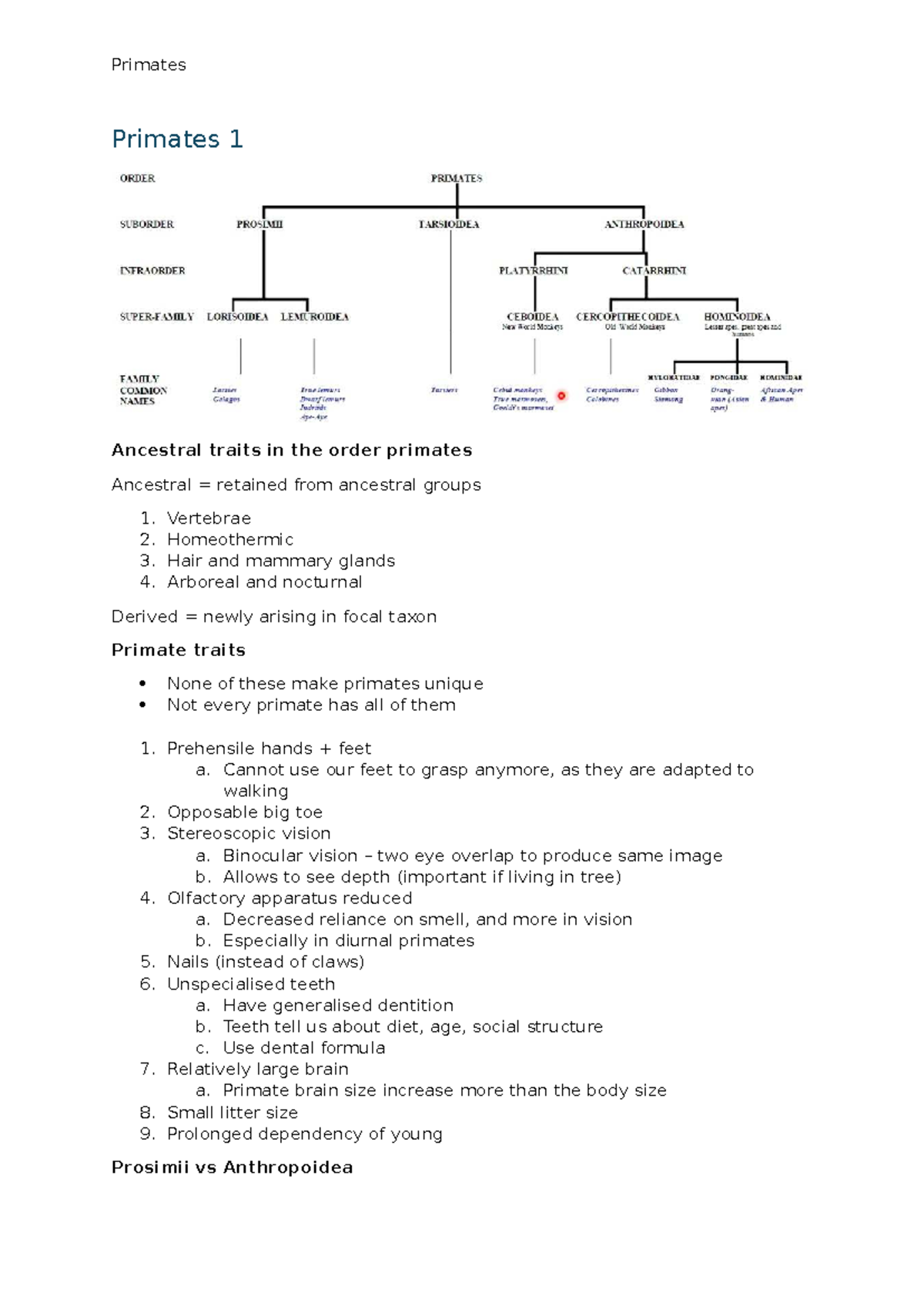 Primates 1: Ancestral and Derived Traits in Primate Evolution Notes ...