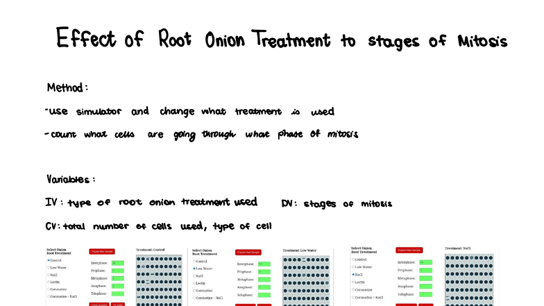 Effect of Root Onion Treatments on Mitosis Stages: Lab Study - Studocu