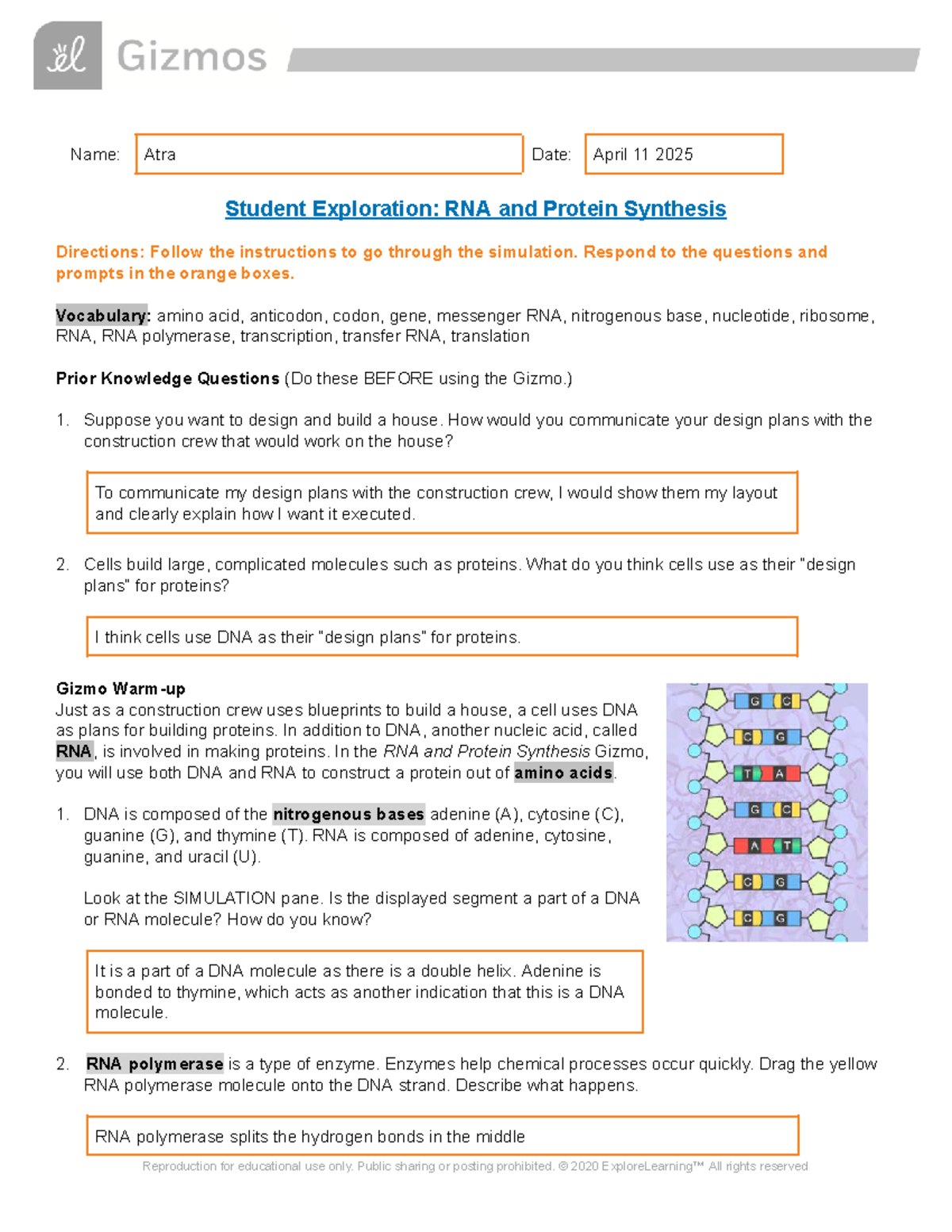 RNA and Protein Synthesis SE: Exploring Transcription and Translation ...