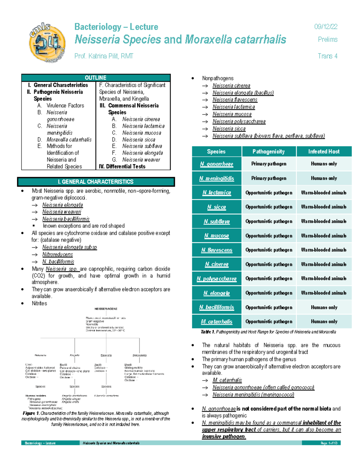 3. Neisseria Species and Moraxella catarrhalis - Bacteriology – Lecture 09/12/ Neisseria Species ...
