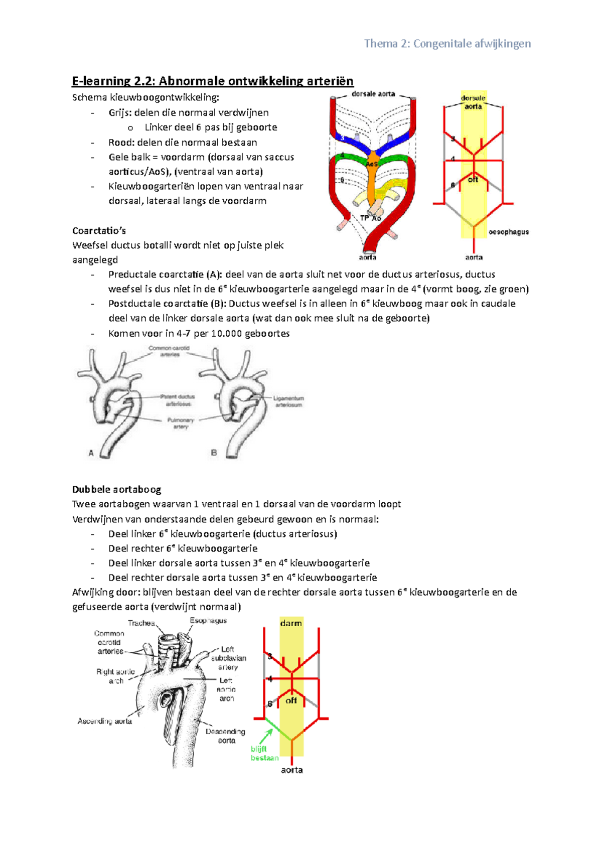 E-learning 2.2: Congenitale afwijkingen in Arteriënontwikkeling ...