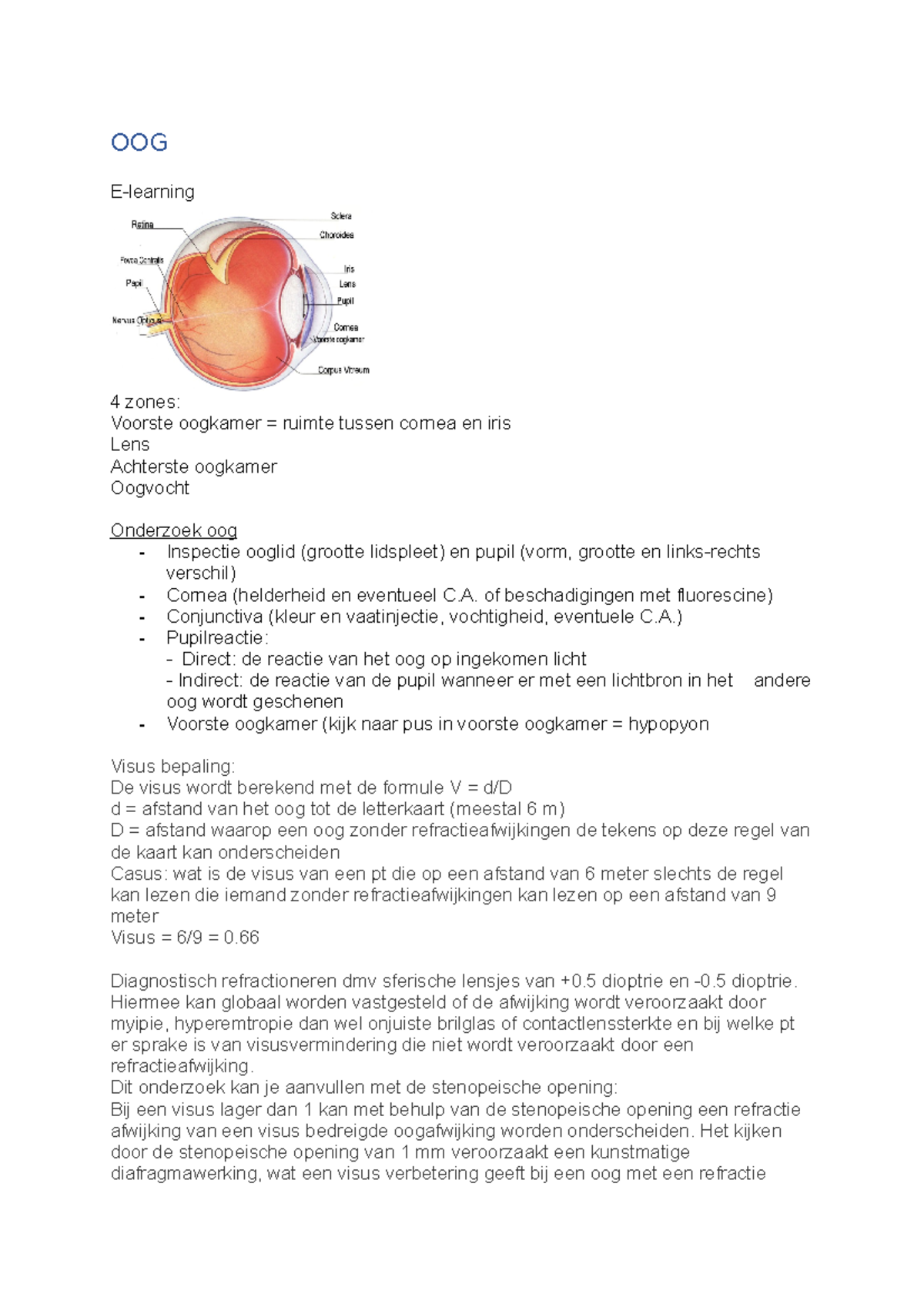 VVV OOG - Samenvatting van Oog Anatoom en Onderzoekstechnieken ...