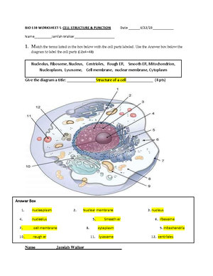 Worksheet 5 - BIO 130 WORKSHEET 5 CELL STRUCTURE & FUNCTION Date ...