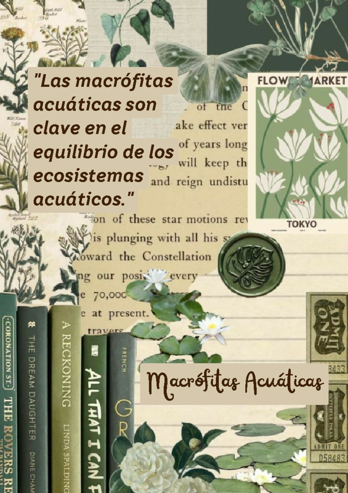 Album de Macrófitas Acuáticas: Diversidad y Taxonomía (MACR 101) - Studocu