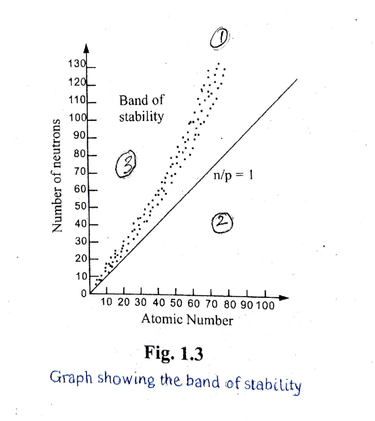 Radioactivity: Key Insights on the Band of Stability - Studocu