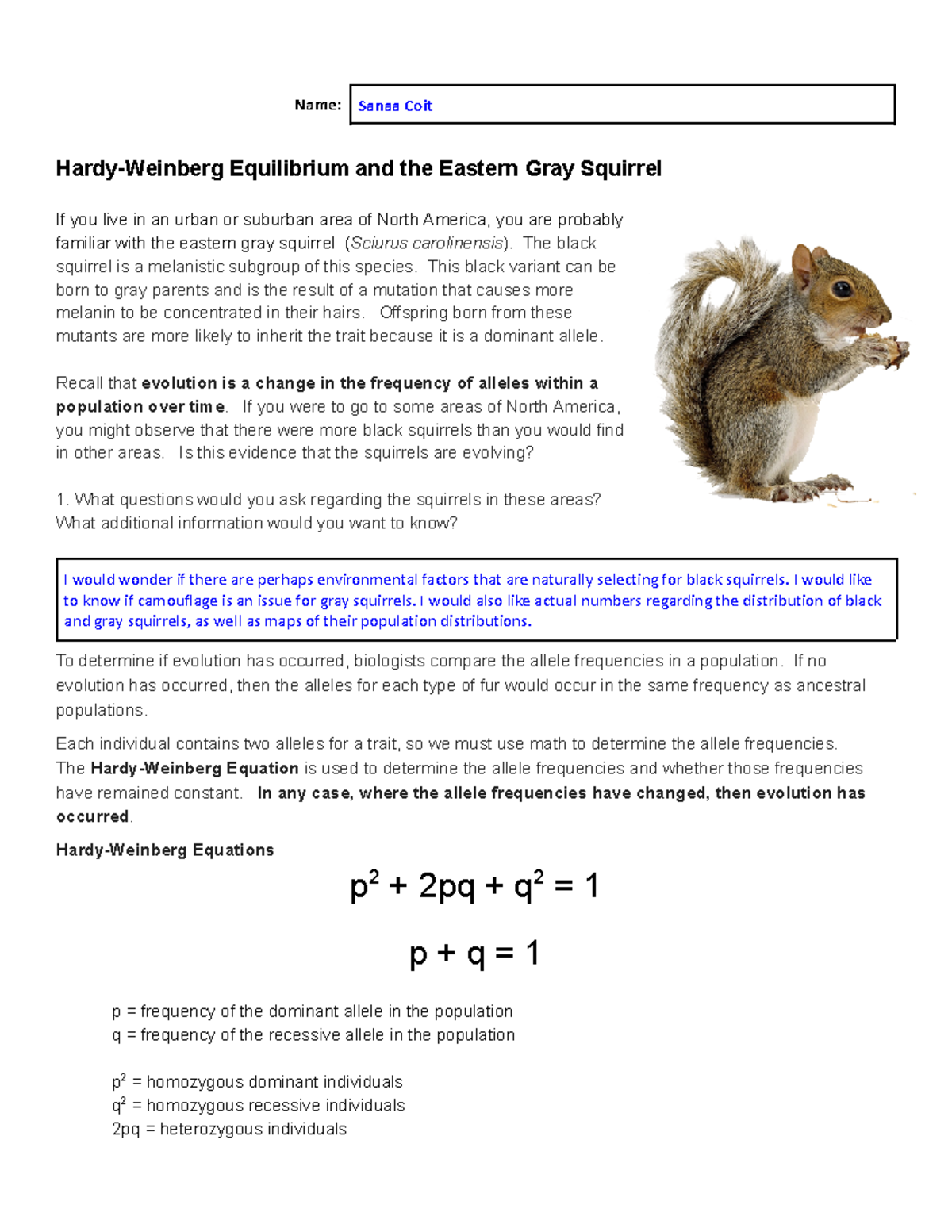 Hardy-Weinberg Equilibrium Analysis of Eastern Gray Squirrels: Examining Evolution - Studocu