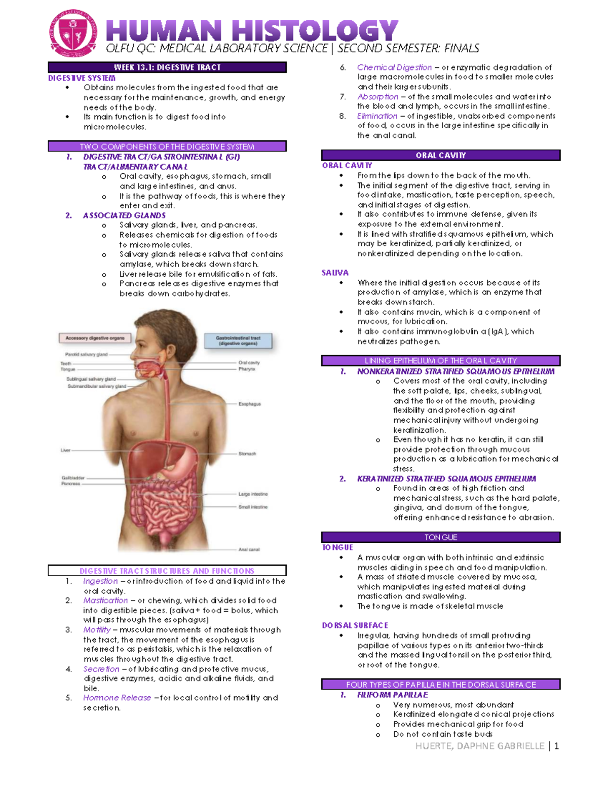 HHIS221 FINALS: Digestive System and Associated Structures in Human ...