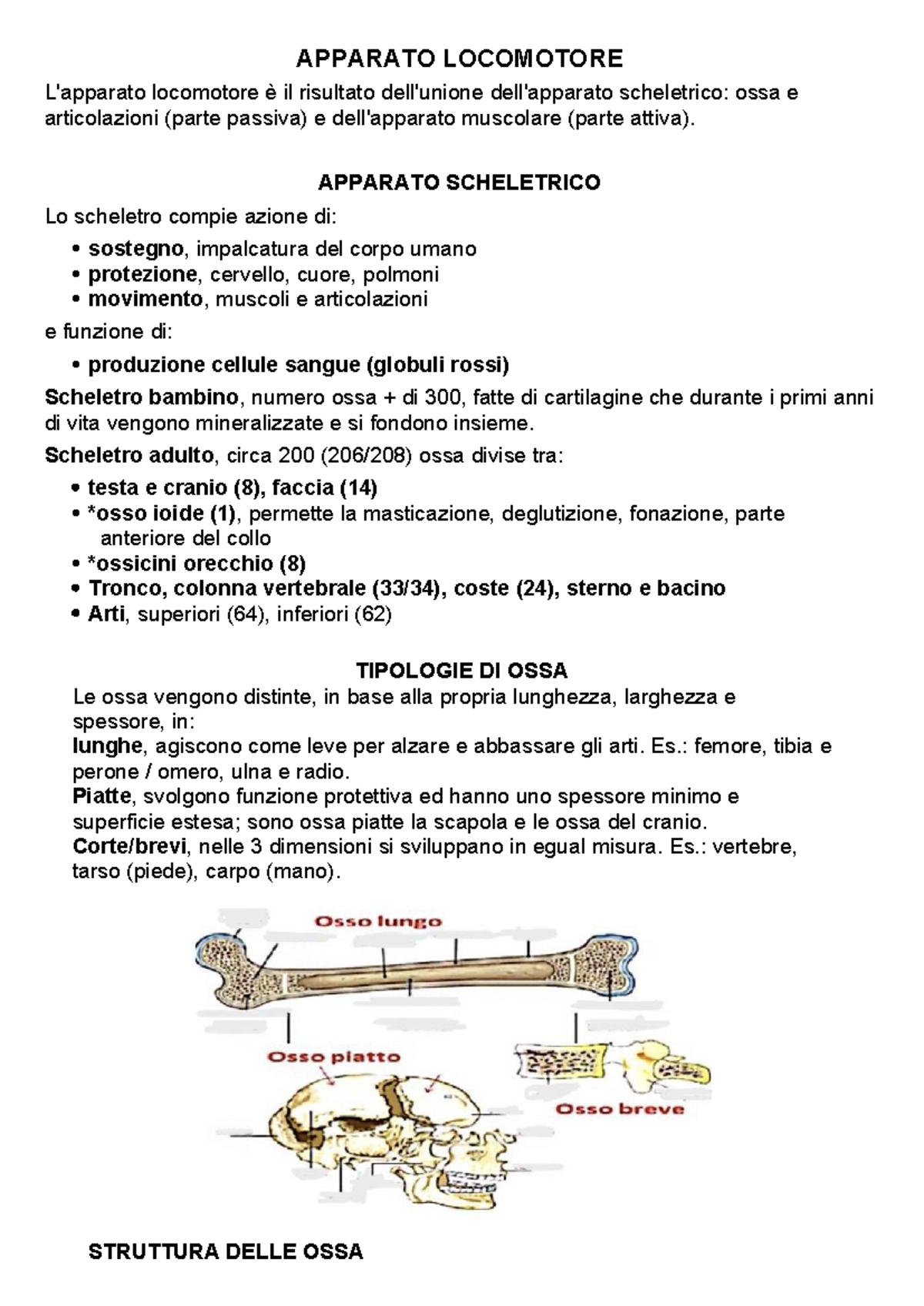 APPARATO LOCOMOTORE: Struttura e Funzioni di Ossa e Articolazioni - Studocu