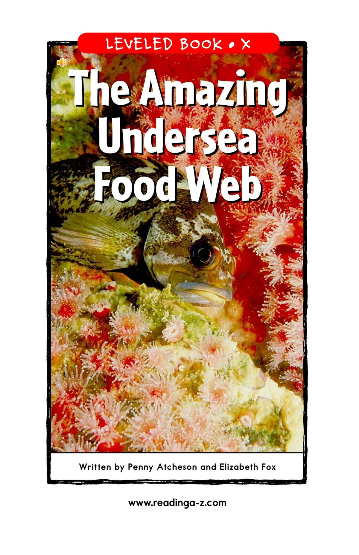 The Amazing Undersea Food Web: Insights on Marine Life Dynamics - Studocu