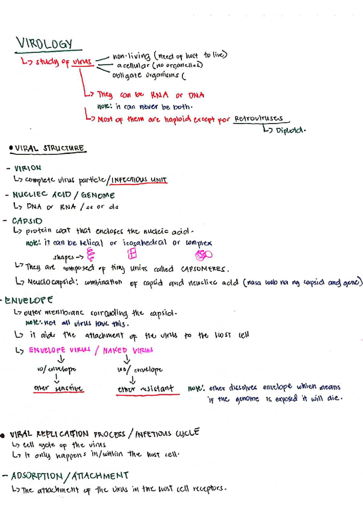 Prefinal Exam Notes for VIROLOGY (L7): Virus Structure & Replication ...