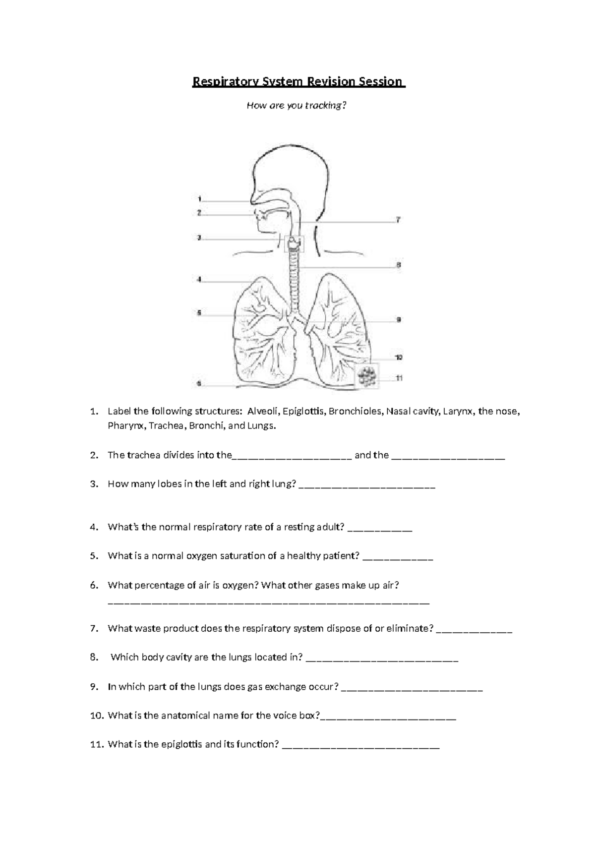 Respiratory System Revision Session: Key Concepts and Terminology - Studocu
