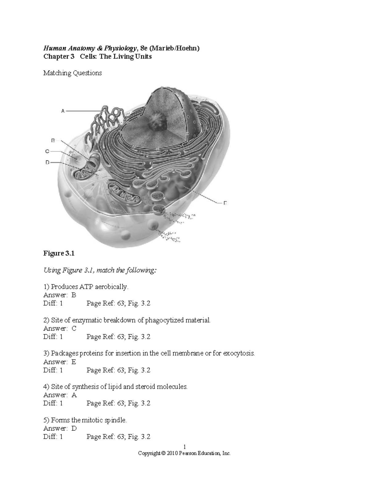 Human Anatomy & Physiology 8e: Chapter 3 Cells Matching Questions - Studocu