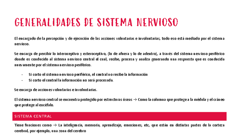 Clase 1-4 - ANATO II - Generalidades del Sistema Nervioso y Nervios ...