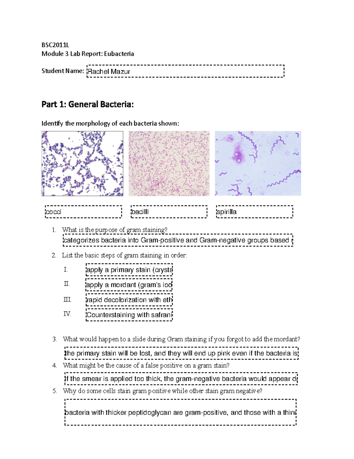 Module 3 Lab Report - BSC2011L Module 3 Lab Report: Eubacteria Student Name: Part 1: General ...