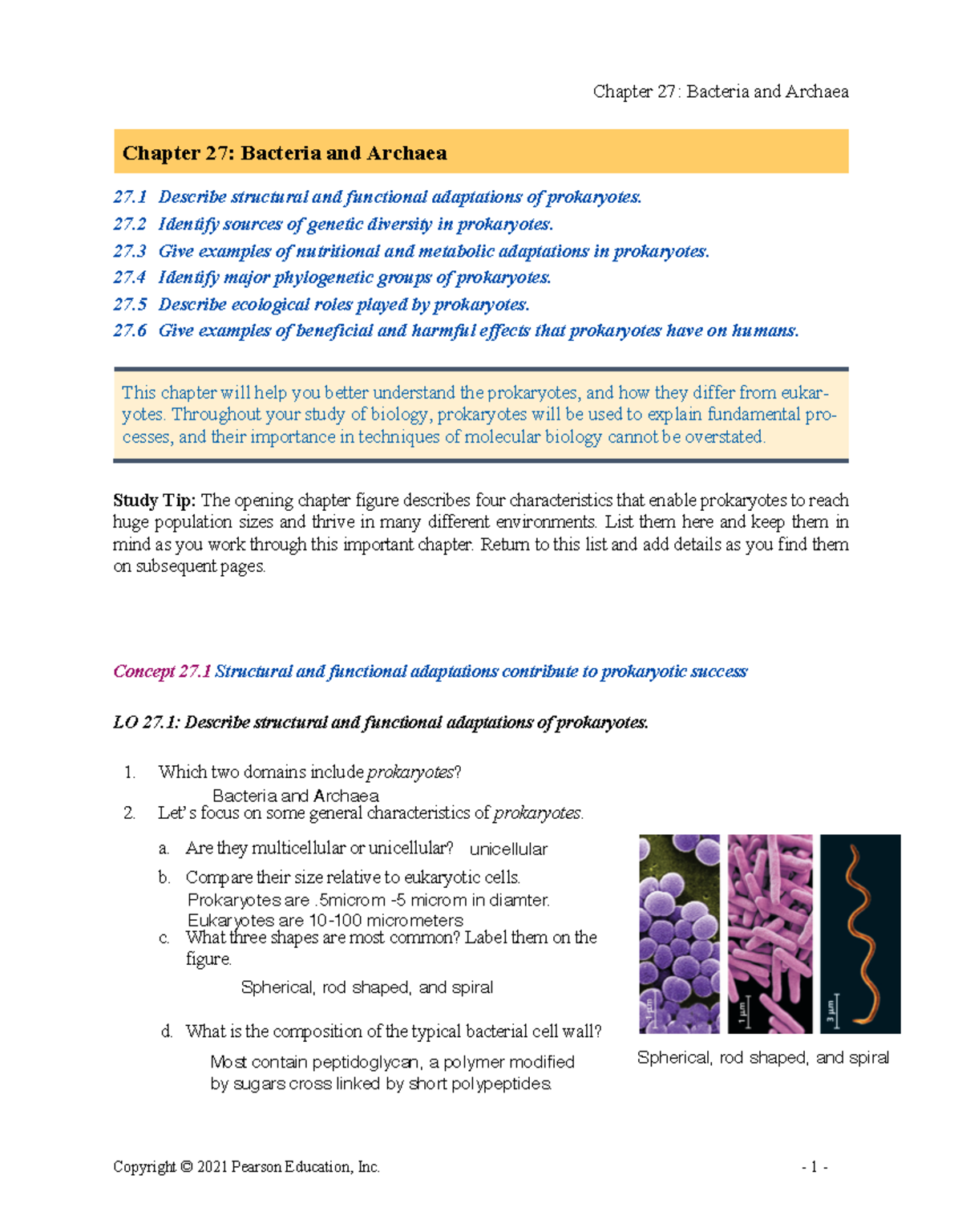 Chapter 27 Bacteria and Archaea - Copyright © 2021 Pearson Education ...