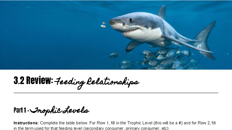 AICE Homework 3.2: Feeding Relationships & Trophic Levels Review - Studocu