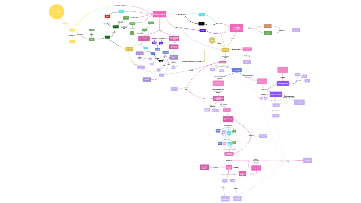 Photosynthesis And Cellular Respiration Concept Map