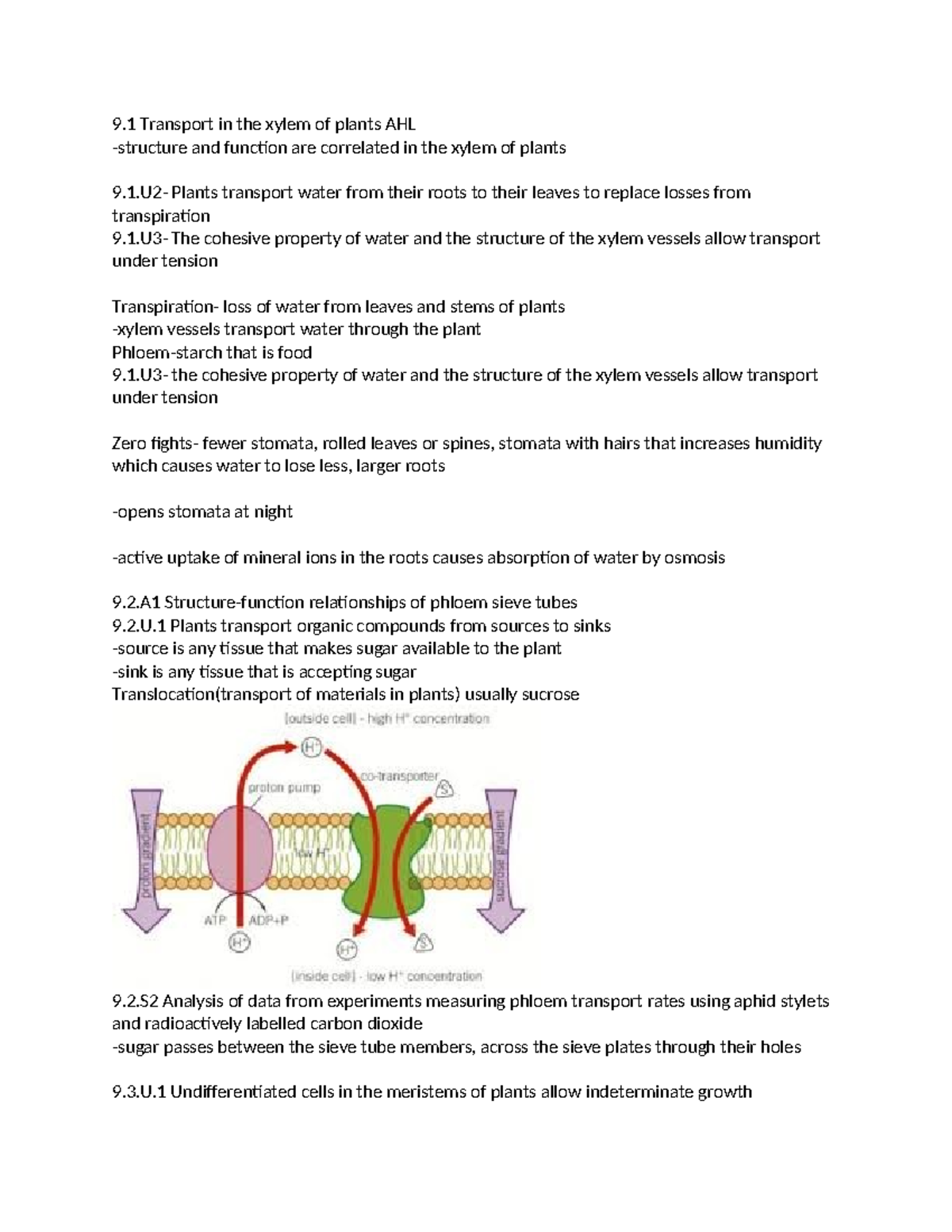 9.1 Transport in Xylem & Phloem: AHL Bio Notes - Studocu