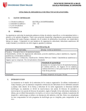 GUIA DE Cuidado- Higiene Perineal - ESCUELA PROFESIONAL DE ENFERMERÍA ...