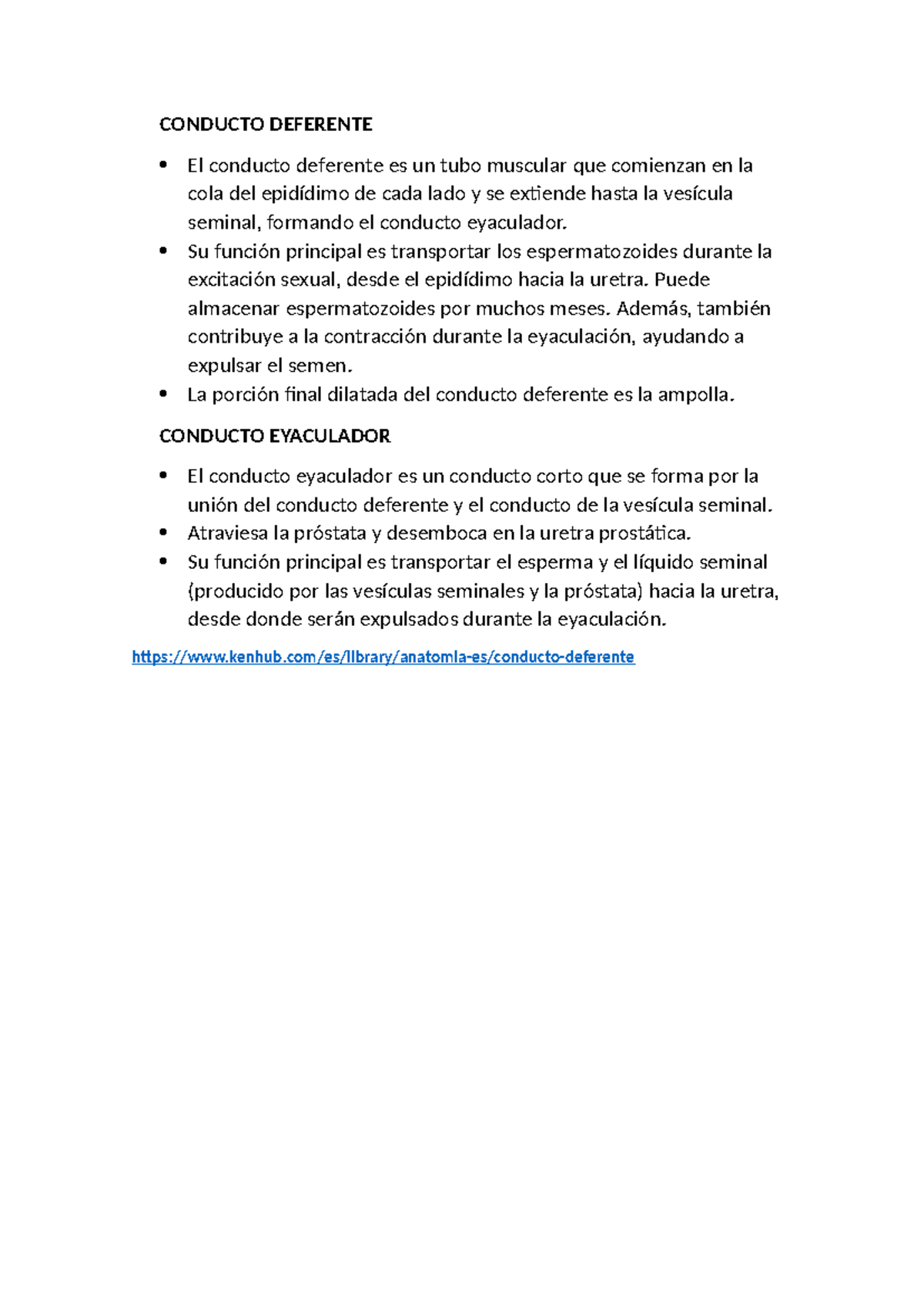 Conducto deferente y eyaculador: funciones y anatomía - Studocu
