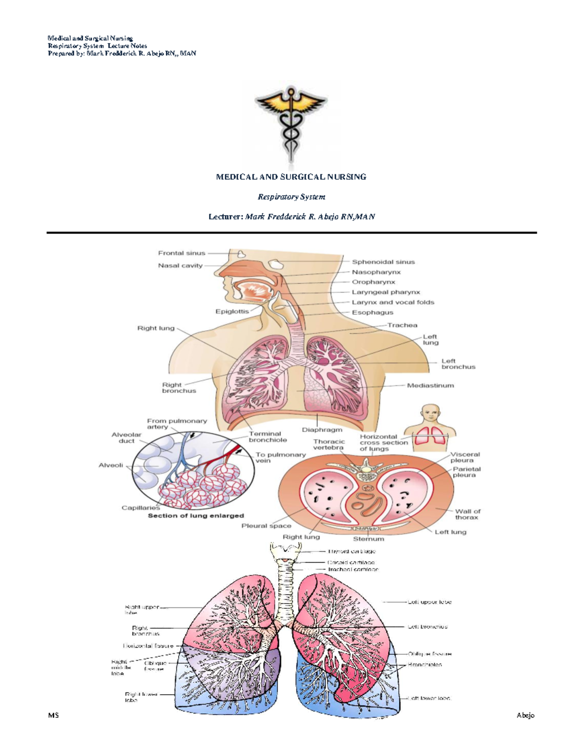 MS 1 Medical and Surgical Nursing: Respiratory System Lecture Notes ...