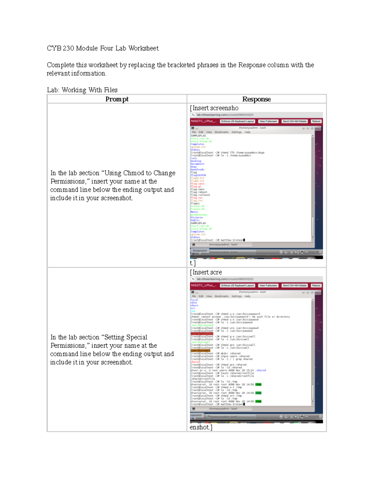 1CYB 230 Module Four Lab Worksheet - CYB 230 Module Four Lab Worksheet ...