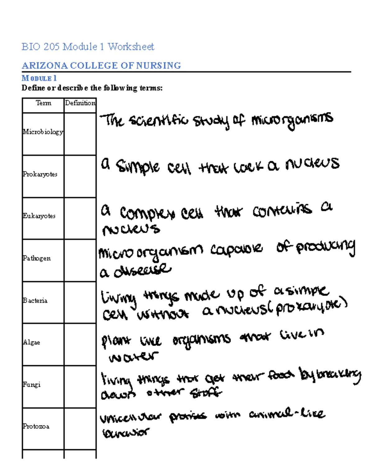 BIO 205 Module 1 Worksheet: Microbiology Terms & Concepts Overview ...