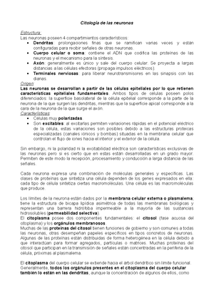 Prolexia evaluacion COP - Evaluación de PROLEXIA. Diagnóstico y ...